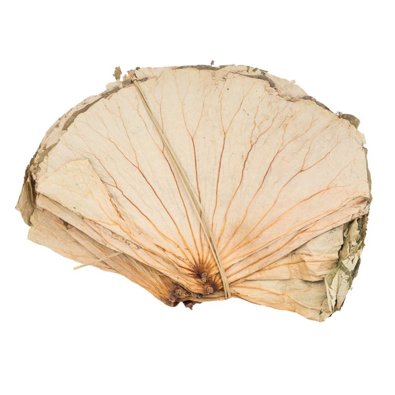 Dried Lotus Leaf/LB