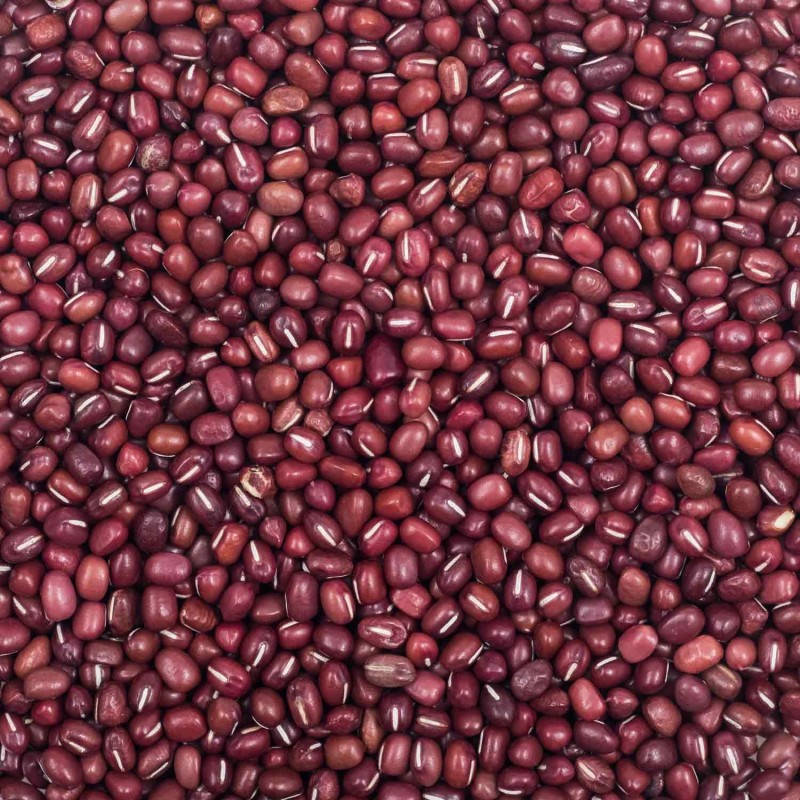 Red Bean/LB